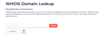 Demystifying Domain WHOIS: What It Is and How It Works